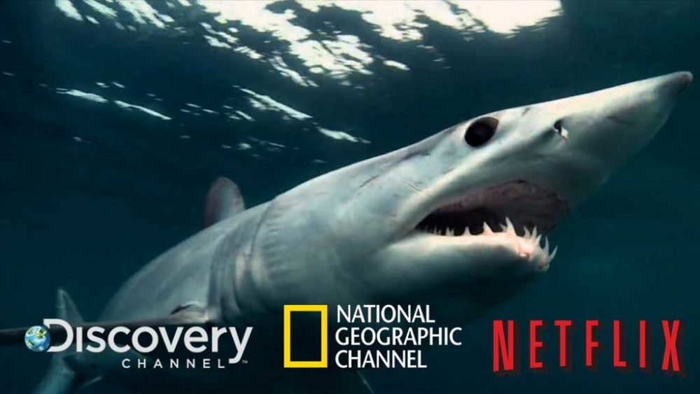 Last Of The Giants: Wild Fish – Geoffrey Uloth